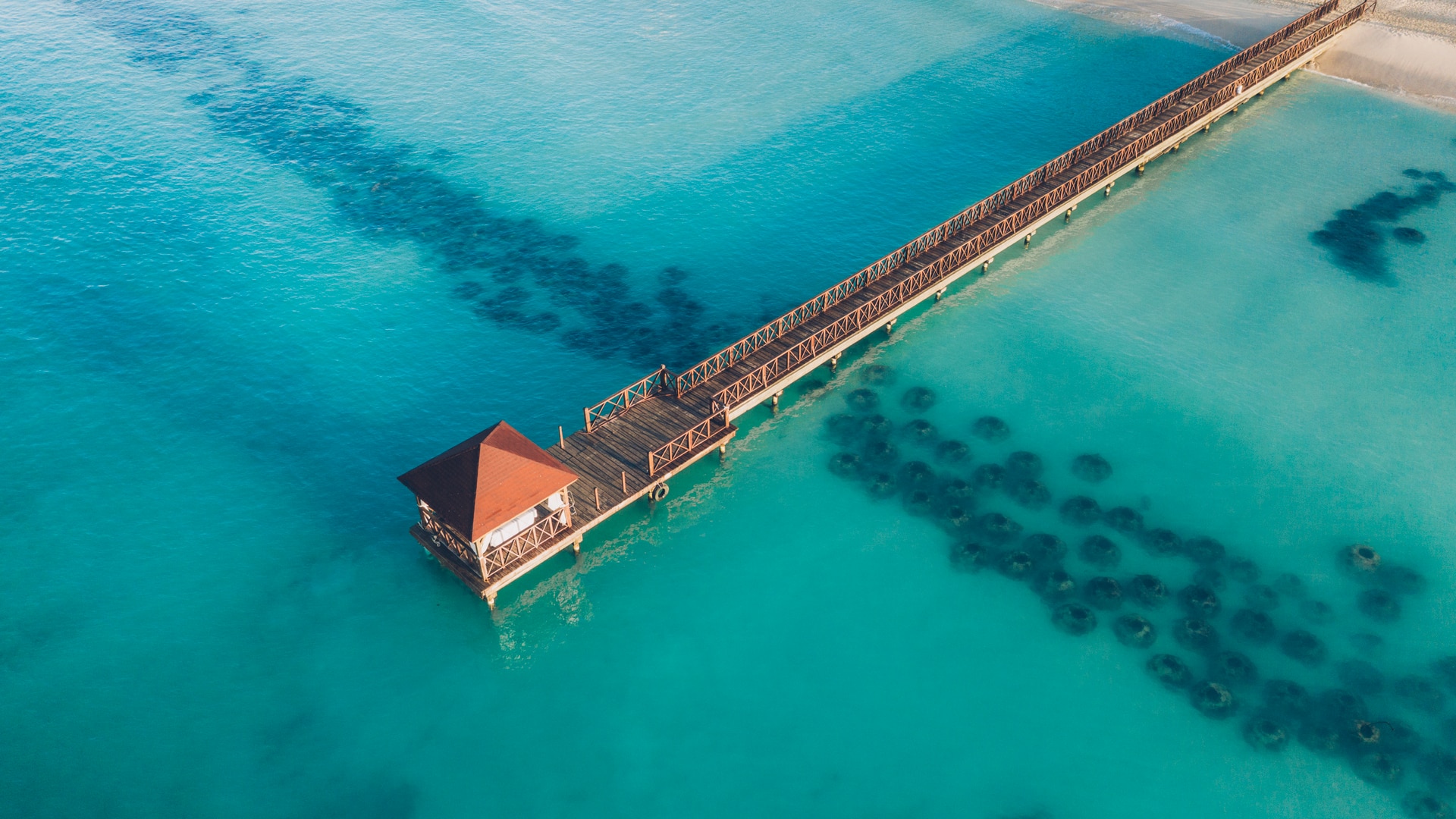 Iberostar Selection Hacienda Dominicus 5* | Hotel en Dominicana